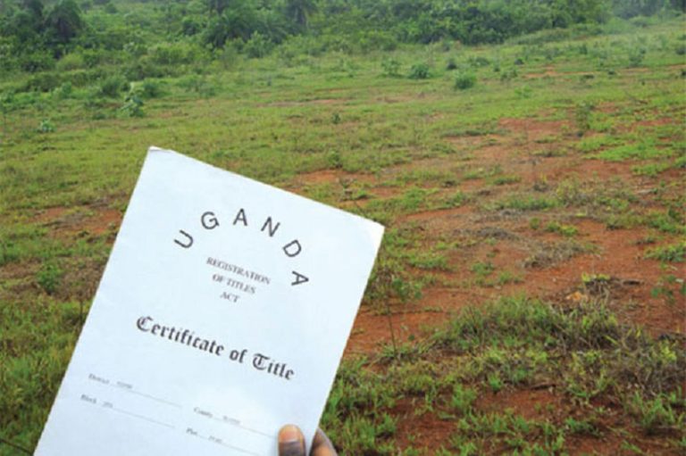 How to Carry Out a Physical Land Title Search - UgandaLiving
